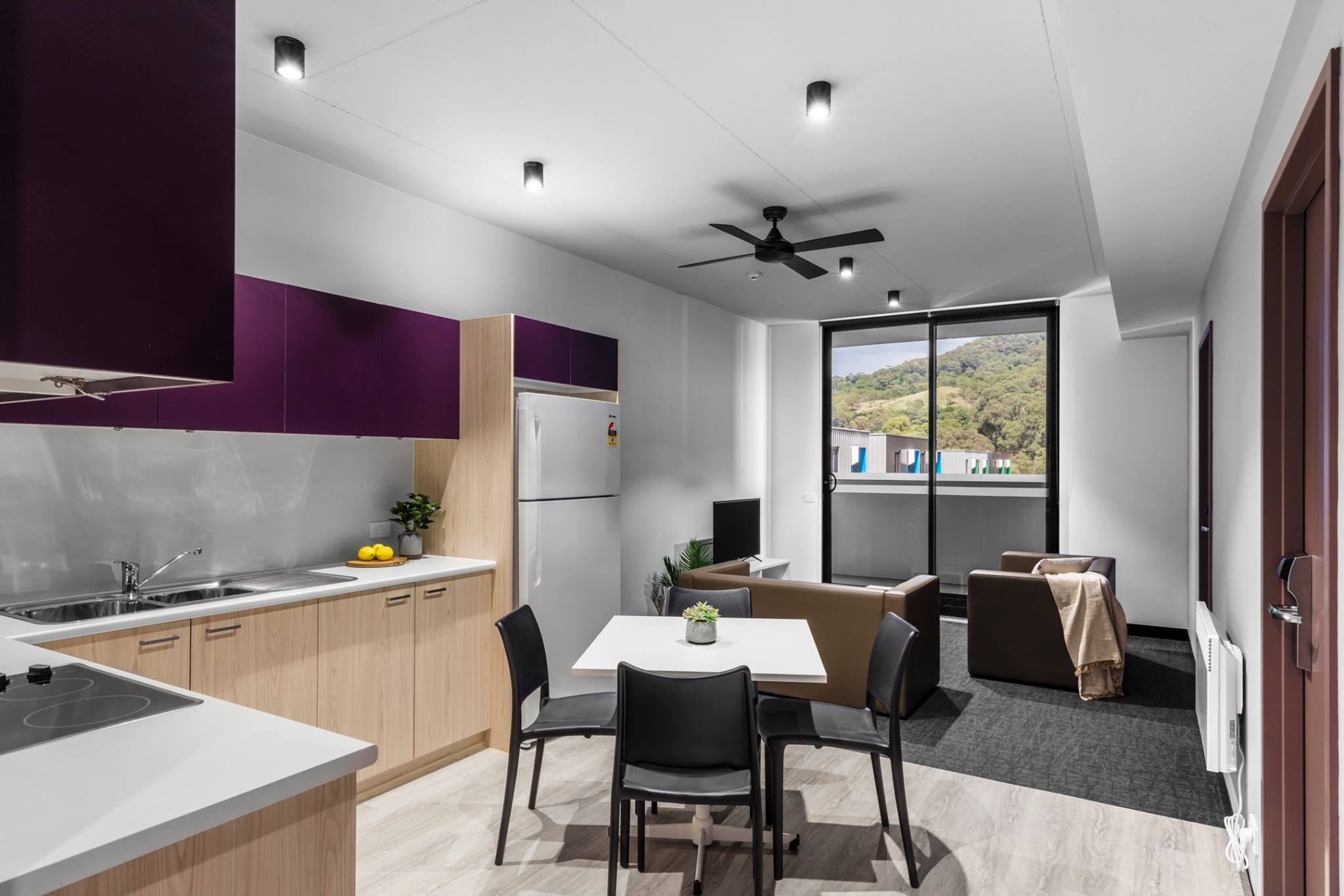 Australia: University of Wollongong - UAlbany Study Abroad